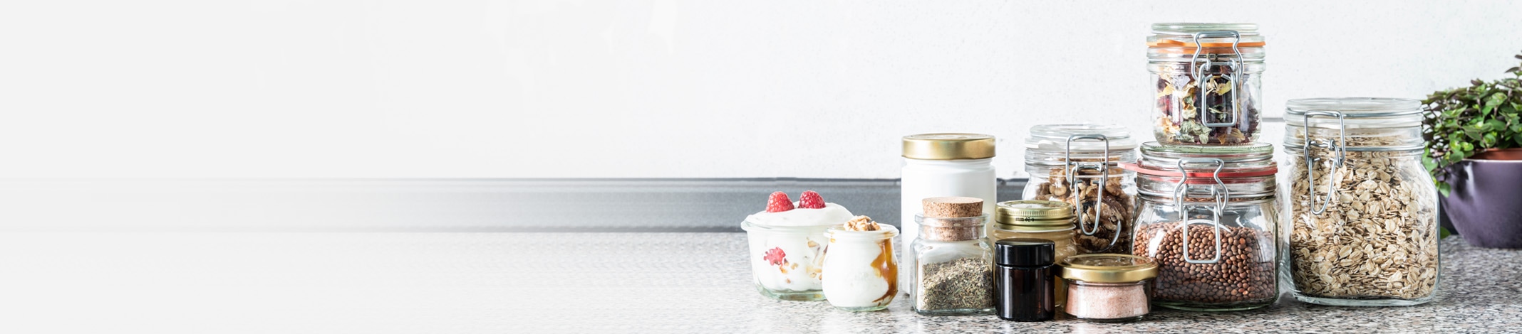 Borcane - murături, conserve, depozitare și decorare